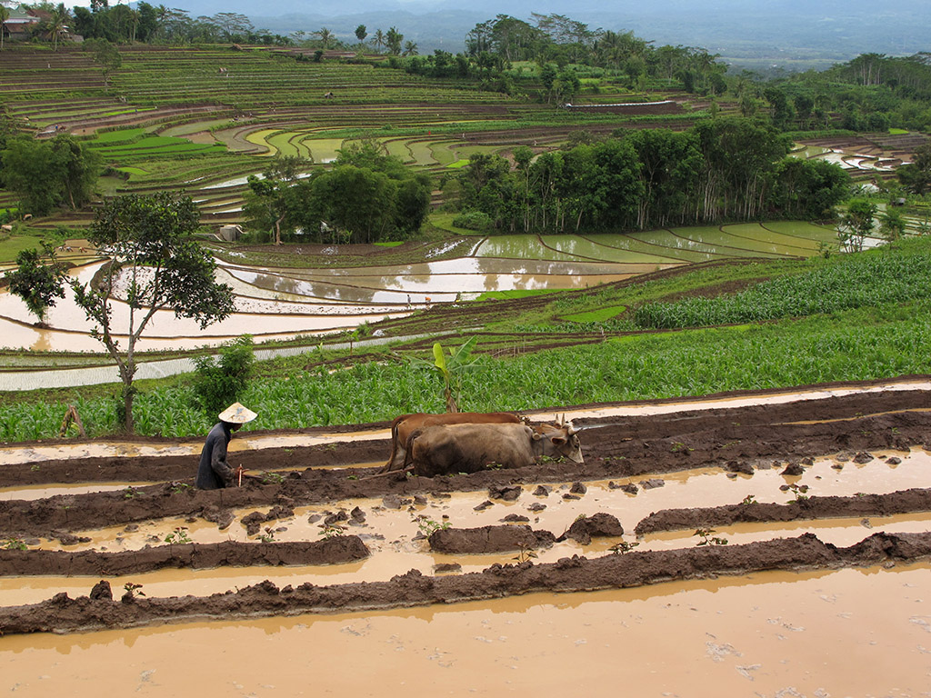 Could the Sustainable Development Goals include Landscapes? - Global ...