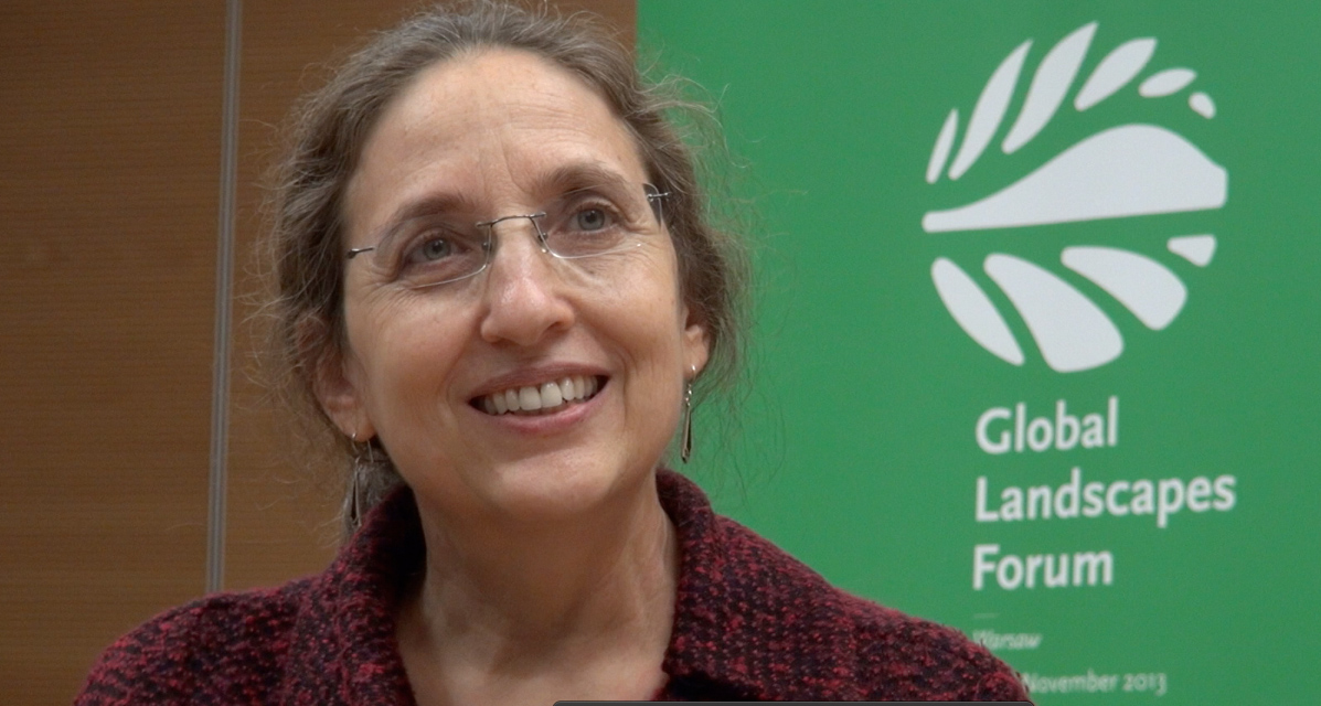 Ruth DeFries on Landscapes and Climate Change - Global Landscapes Forum