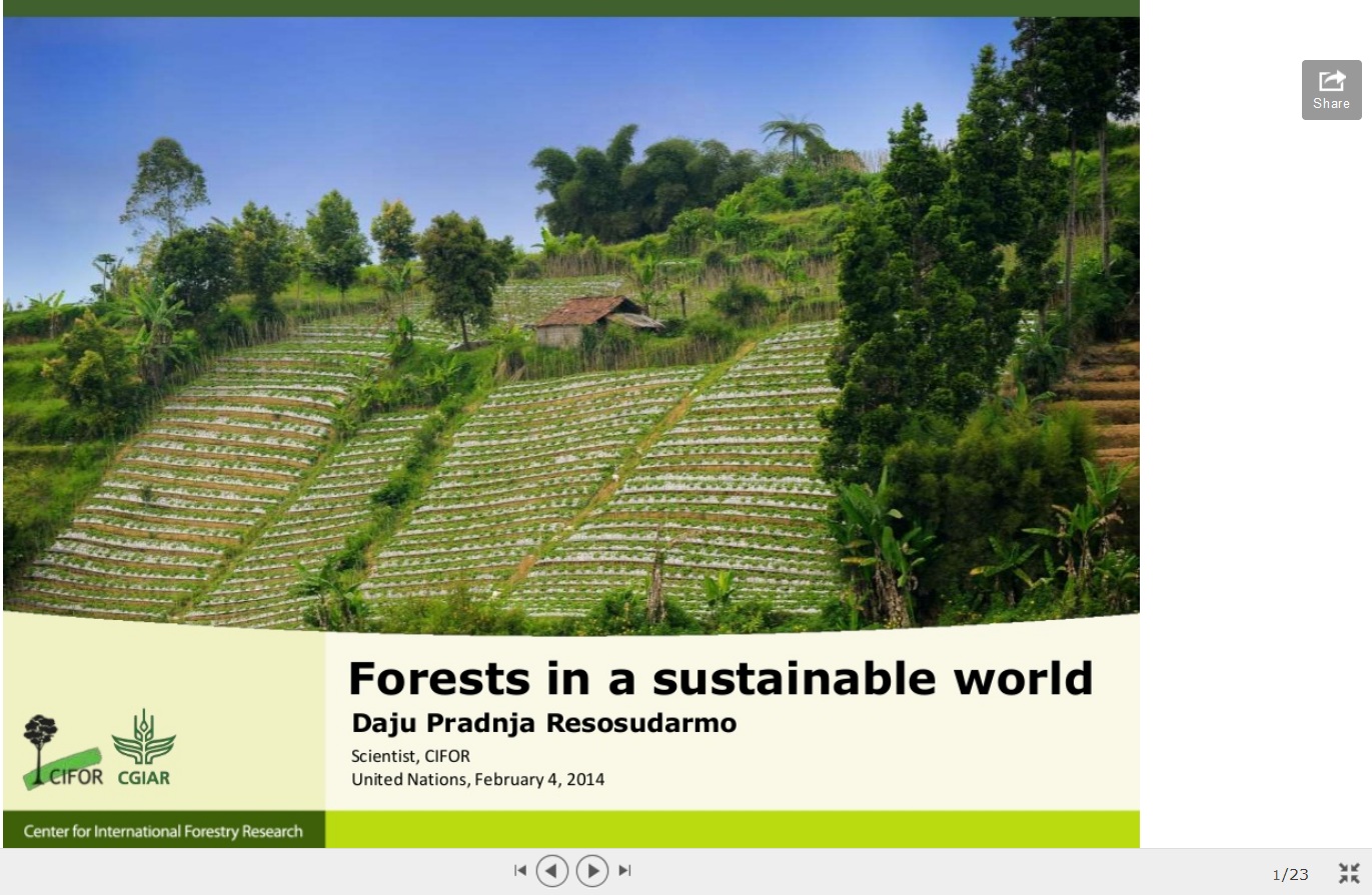 Forests in a sustainable world - CIFOR presentation at the UN SDG ...