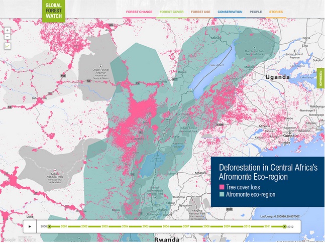 New WRI tools help map land use change stories - Global Landscapes Forum