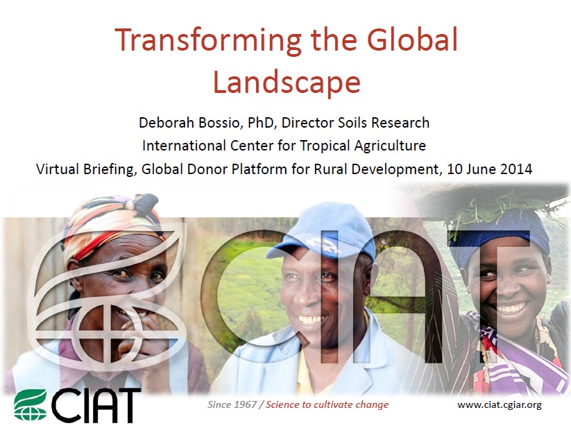 Large scale agriculture investments and the transformation of the ...