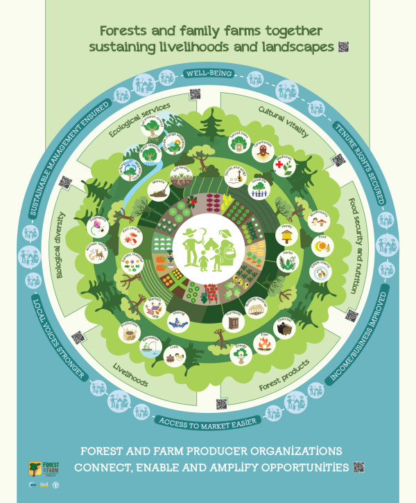 INFOGRAPHIC: Forests and family farms sustaining landscapes - Global ...