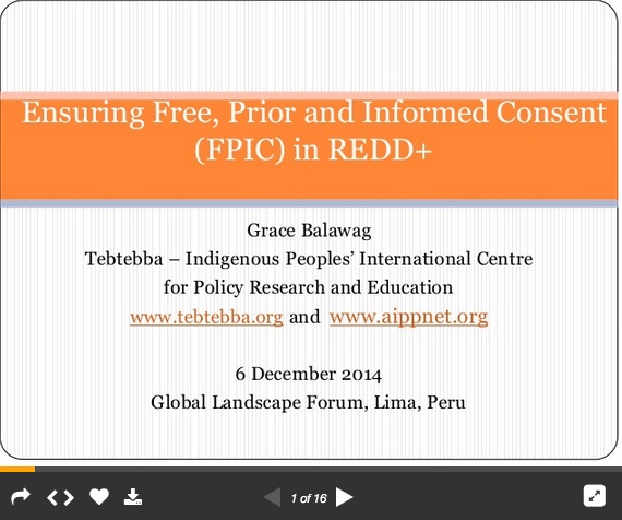 Ensuring Free, Prior and Informed Consent (FPIC) in REDD+ - Global ...