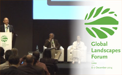 A new climate agenda? Moving forward with adaptation-based mitigation ...