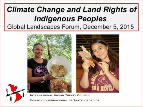 climate-change-and-land-rights-of-indigenous-peoples-1-638 - Global ...