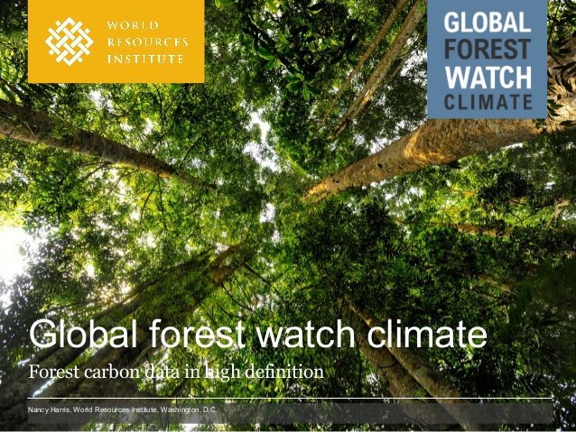 Global forest watch climate - Global Landscapes Forum