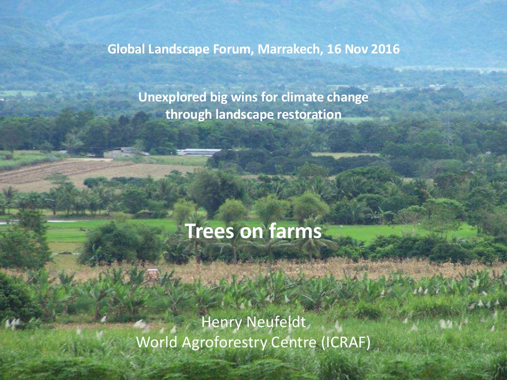 Trees on farms: Unexplored big wins for climate change through ...
