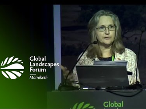 Anne Larson: What we know about global climate goals and local ...
